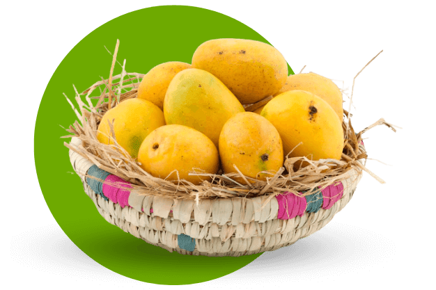 AamBoss – All About Mangoes